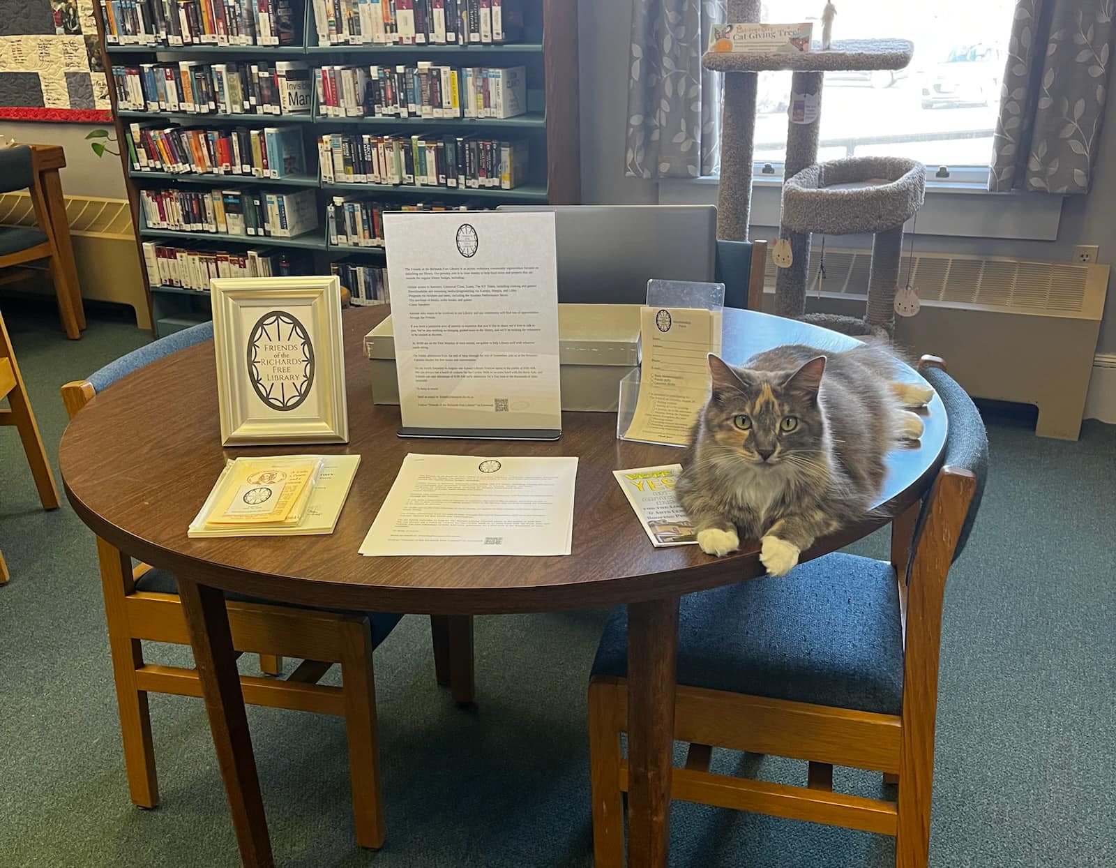 Freebies from the Friends